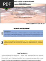 Distrofia Vulvar y Otras Dermopatias JCC | PDF | Cáncer | Rtt