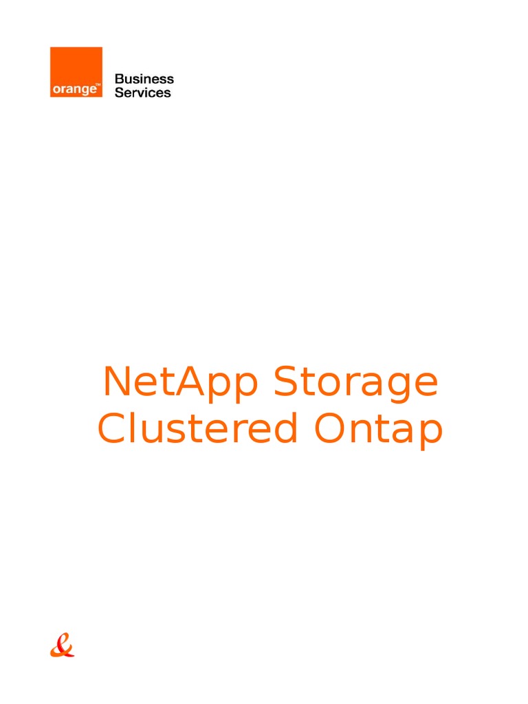 Netapp Clustered Ontap Copi 38 Pdf Command Line Interface Areas Of Computer Science 