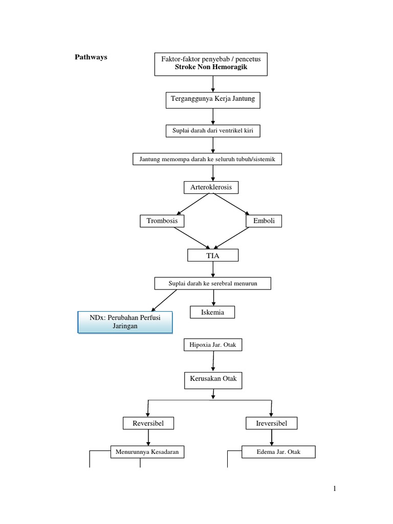 Pathways Dan Intervensi SNH | PDF