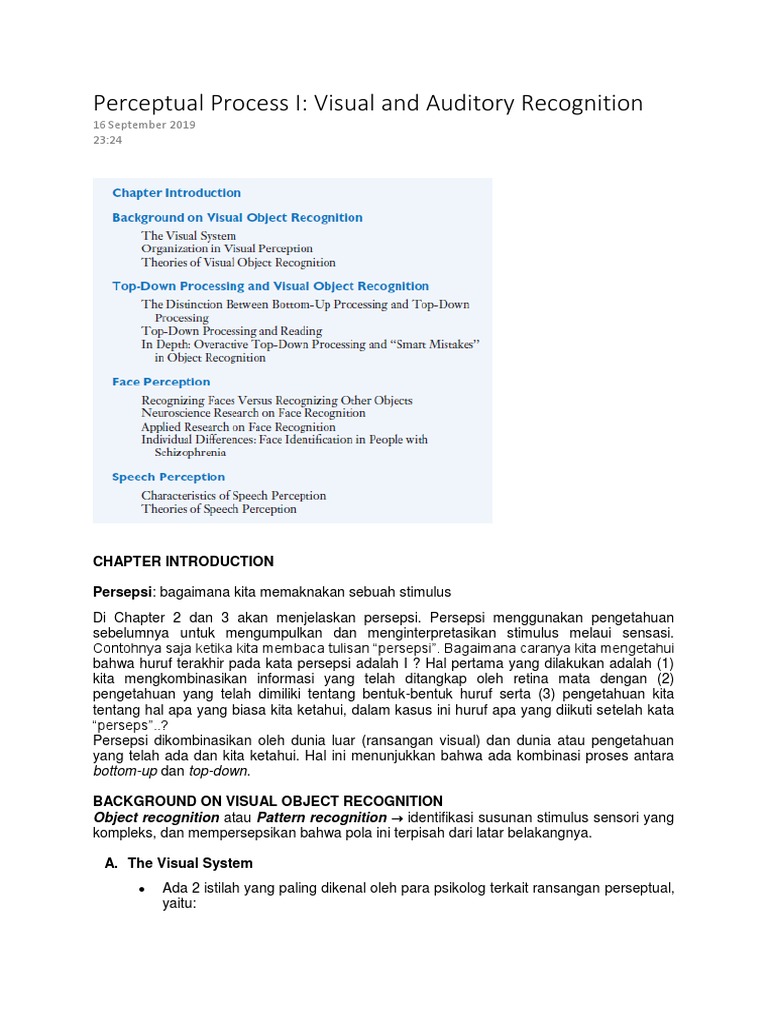 Perceptual Process I Visual and Auditory Recognition | PDF