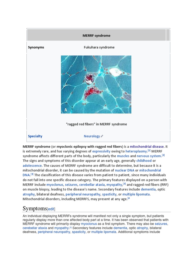 Mitochondrial Disorders: An In-Depth Look at MERRF Syndrome | PDF ...