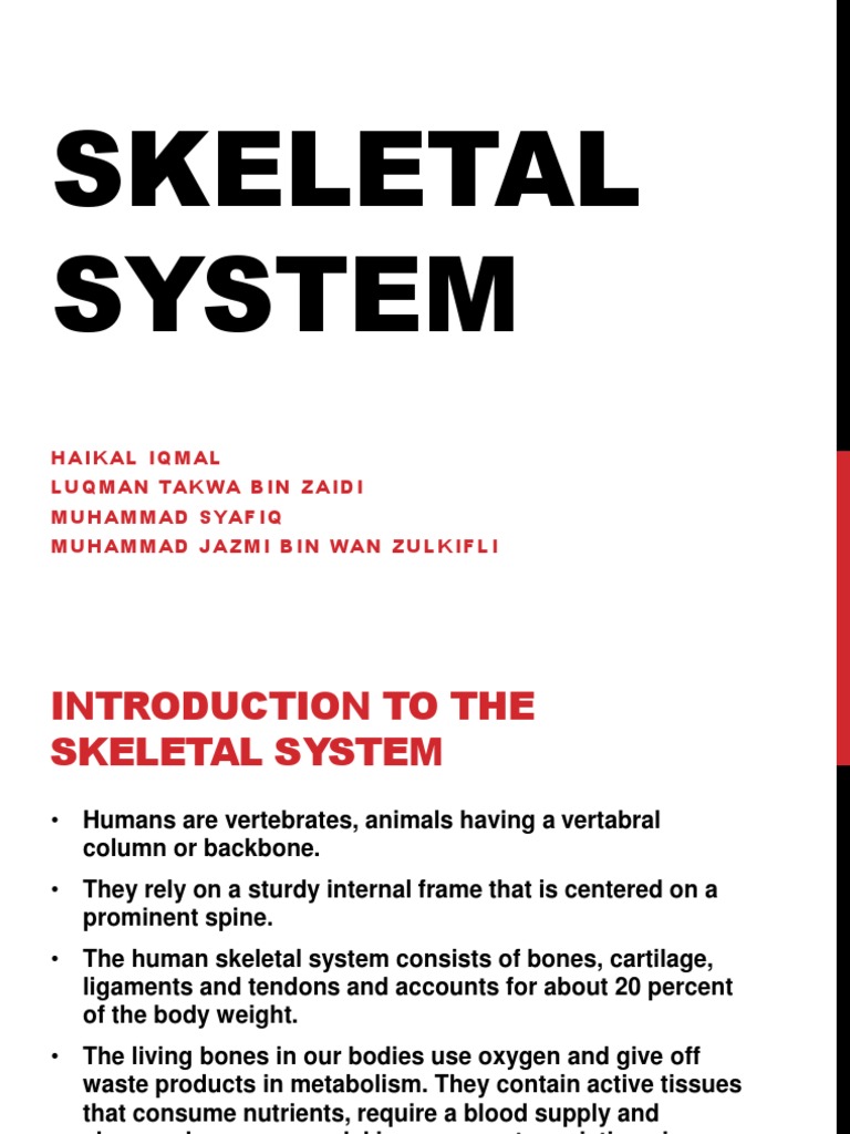 Skeletal System | PDF | Bone | Skeleton