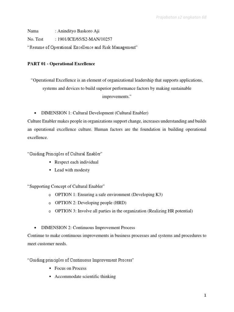 A Comprehensive Resume on Operational Excellence and Risk Management ...