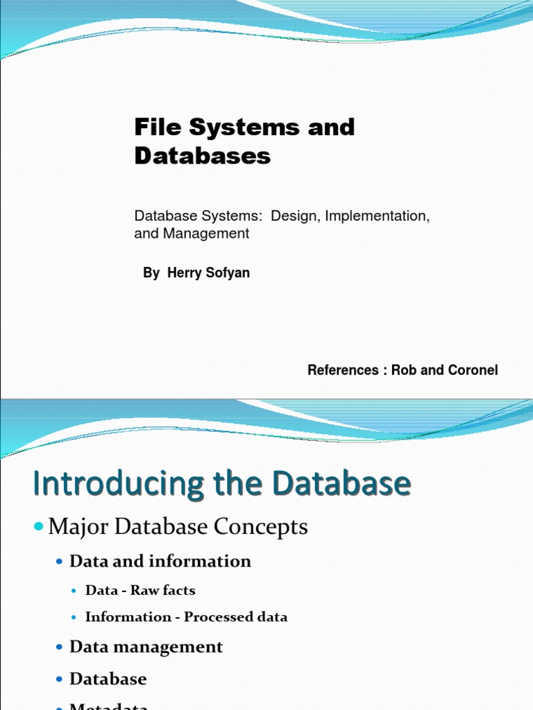 File System and Databse | PDF | Conceptual Model | Data Model