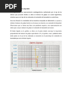 Fases del Suelo: Sólido, Líquido y Gaseoso | PDF | Suelo | Agua