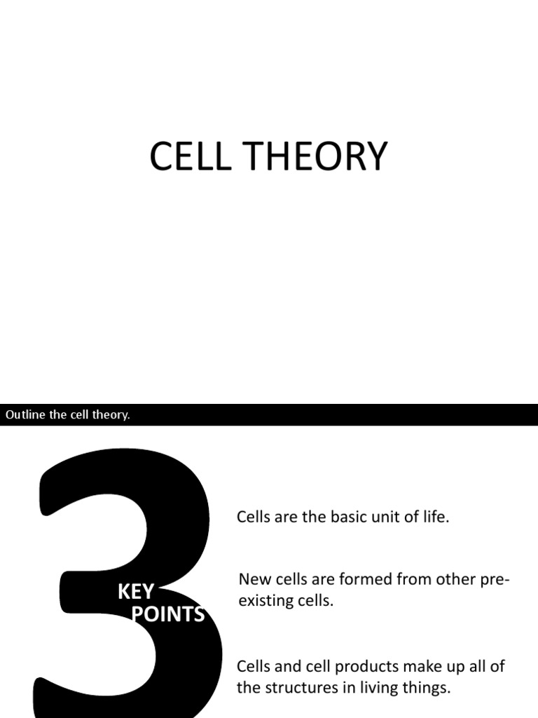 1.1 IB Cell Theory | PDF | Cell Potency | Hematopoietic Stem Cell