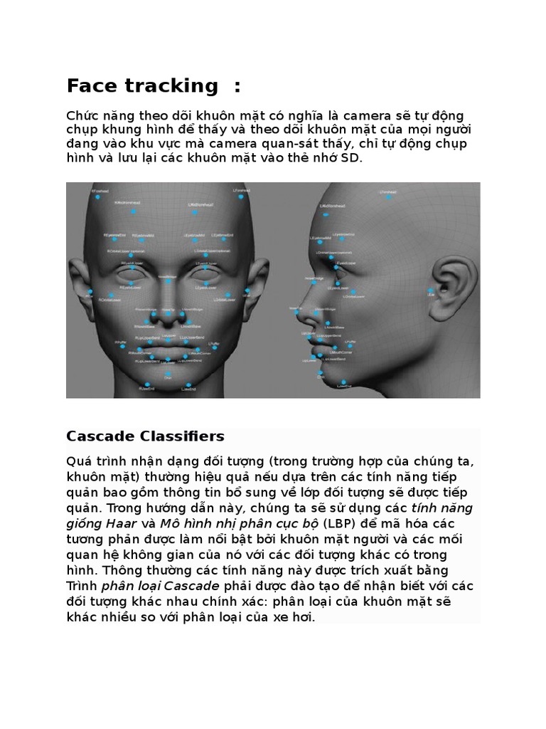 Face Tracking | PDF