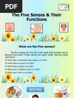 My Five Senses Labels | PDF