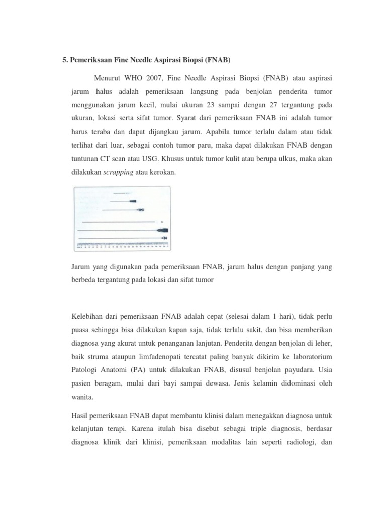 Pemeriksaan Fnab | PDF
