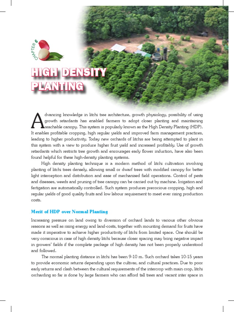 High Density Planting: Merit of HDP Over Normal Planting | PDF ...