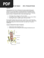Aspetar Hamstring Protocol | PDF | Anatomical Terms Of Motion | Knee