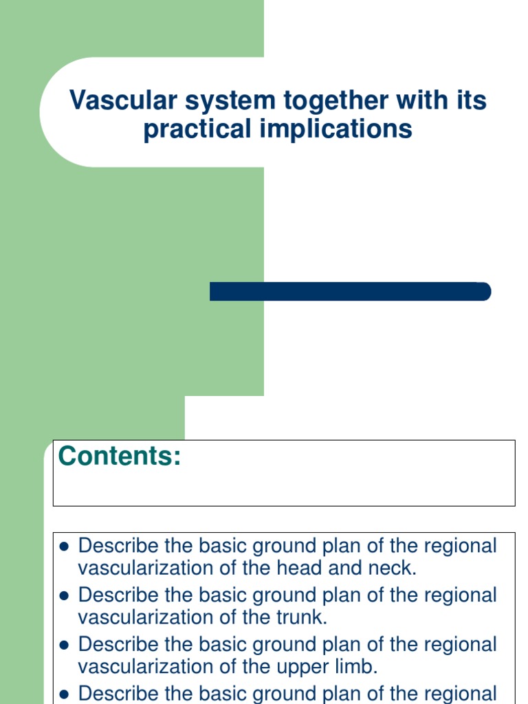 Vascular System - Semester 1 | PDF