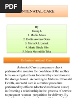 ICM - 2019 Essential Competencies For Midwifery Practice | PDF ...