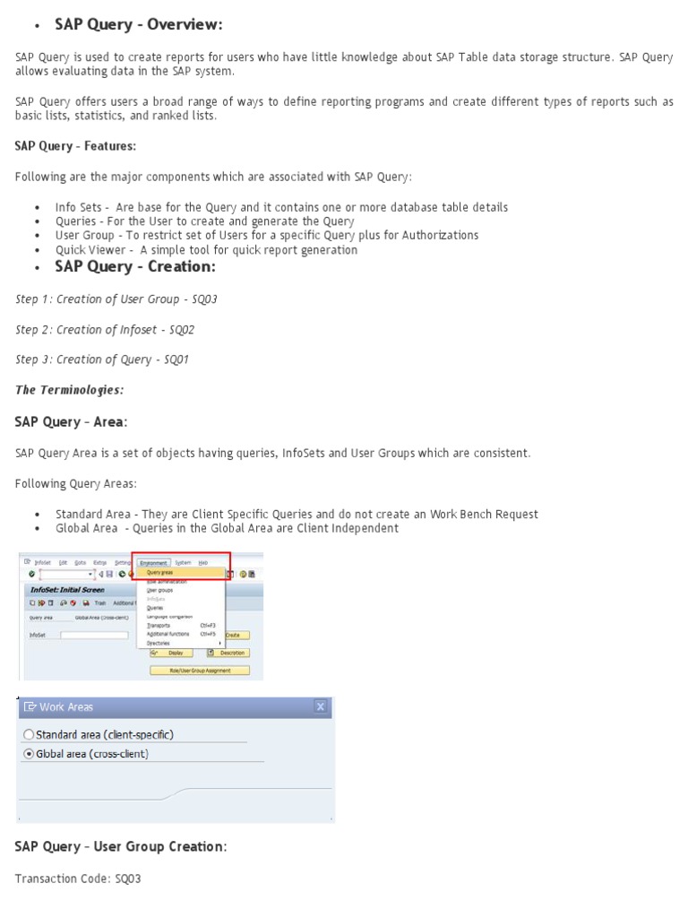 Sap Query Basics | PDF | Database Transaction | Databases