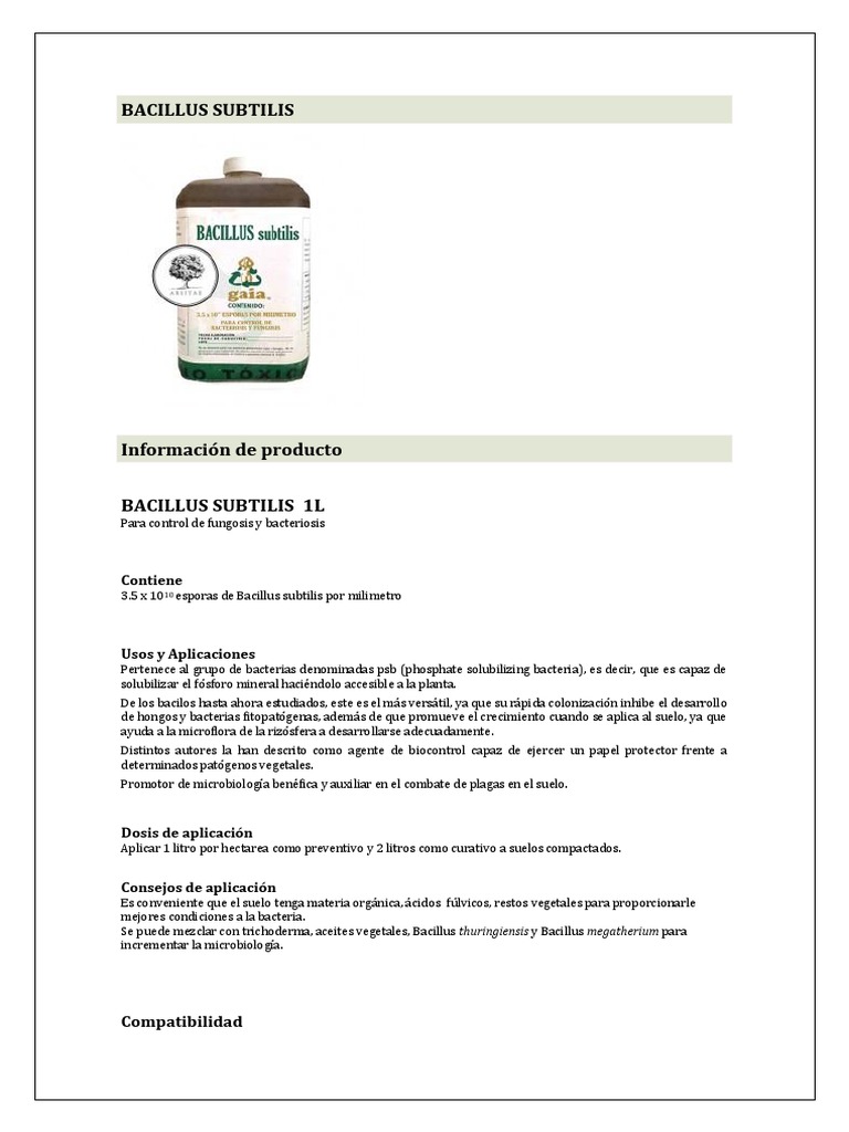 Bacillus Subtilis | PDF