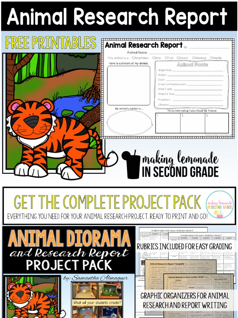 Animal Research Report Prin Tables | PDF