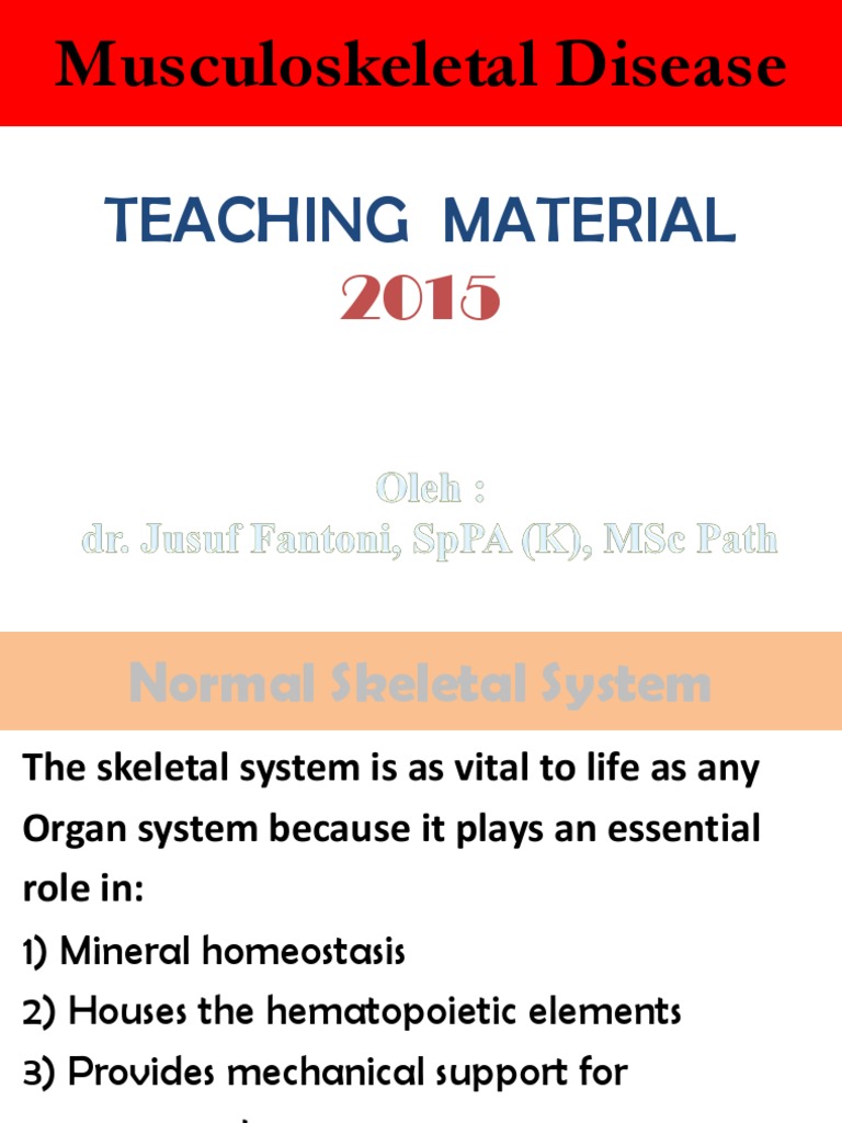 Understanding the Skeletal System: An In-Depth Look at the Structure ...