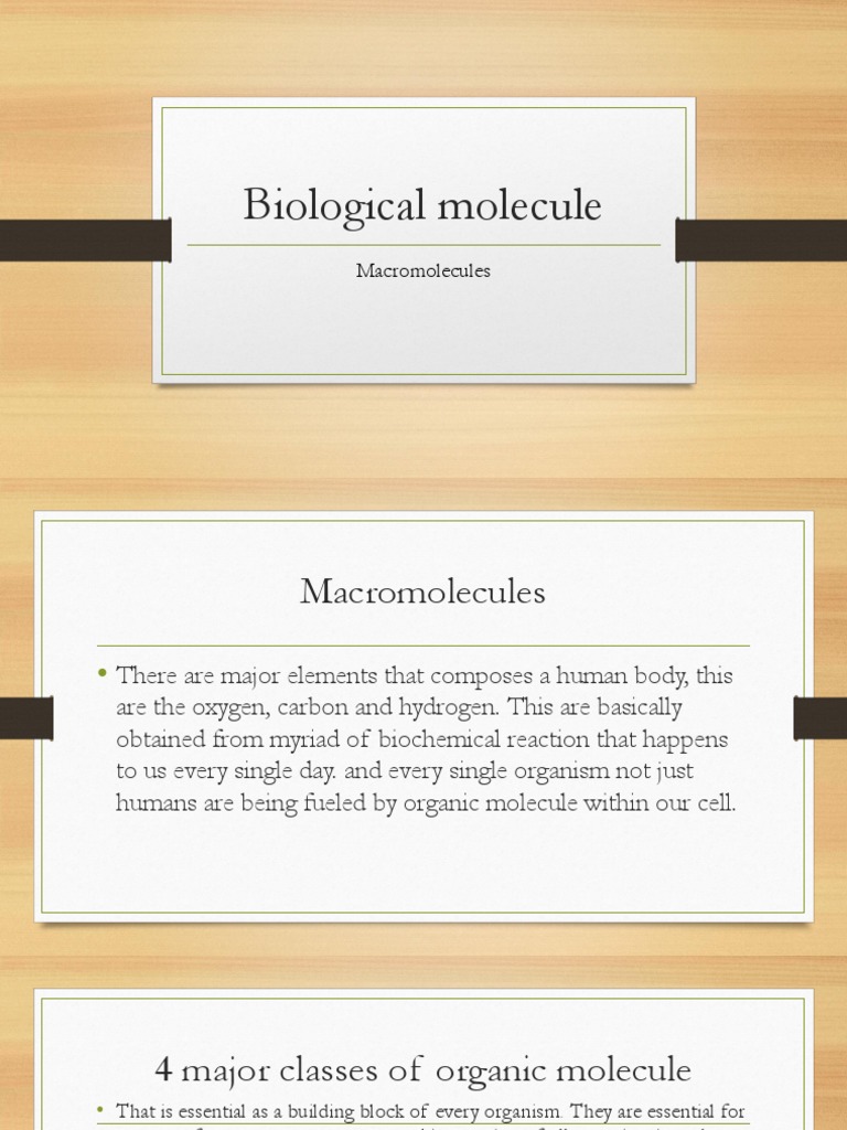 Biological Molecule: Macromolecules | PDF | Nucleotides | Carbohydrates
