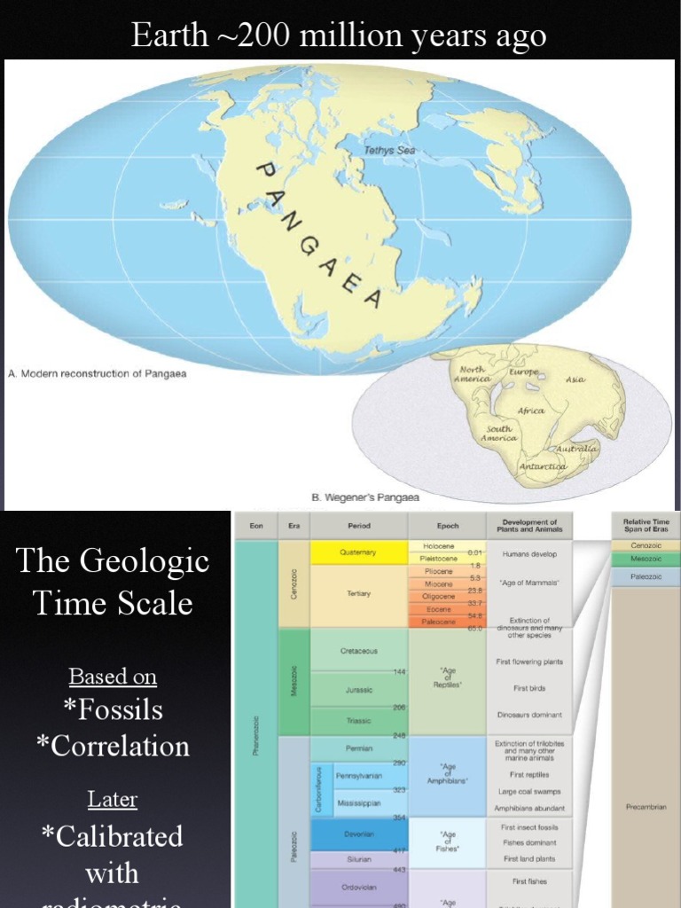 Earth 200 Million Years Ago | PDF | Plate Tectonics | Earth Sciences