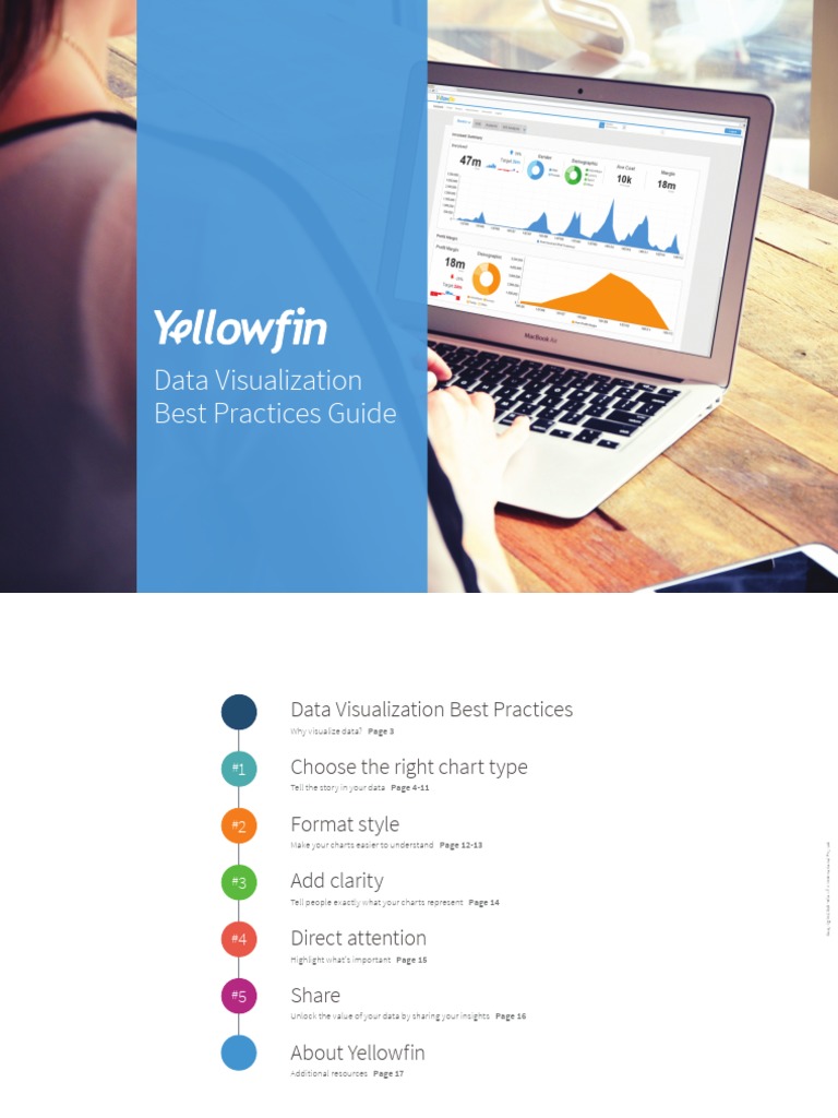 Data Visualization Best Practices Guide | PDF | Business Intelligence ...