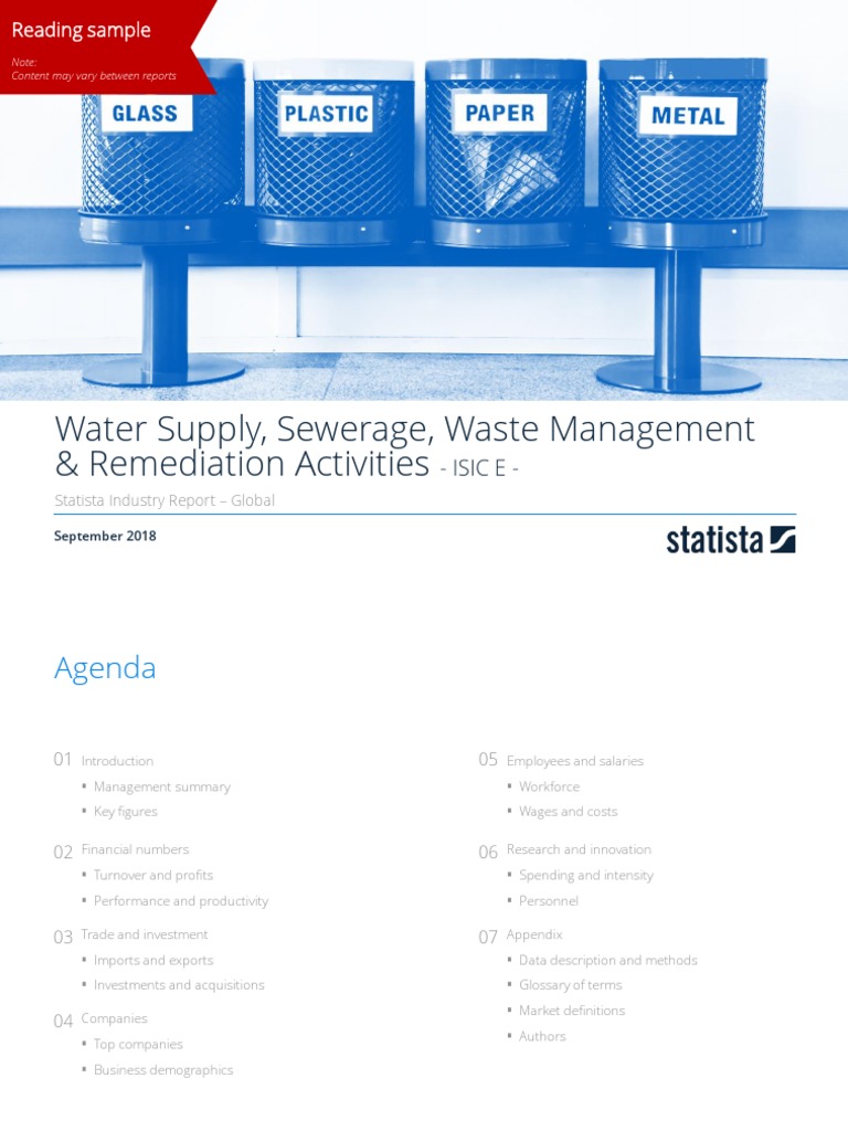 Sample Report | PDF | Foreign Direct Investment | Purchasing Power Parity