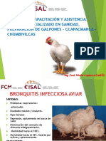 Sistema de Producción de Leche en Granjas Bovinas Familiares | PDF | Vacas | Leche