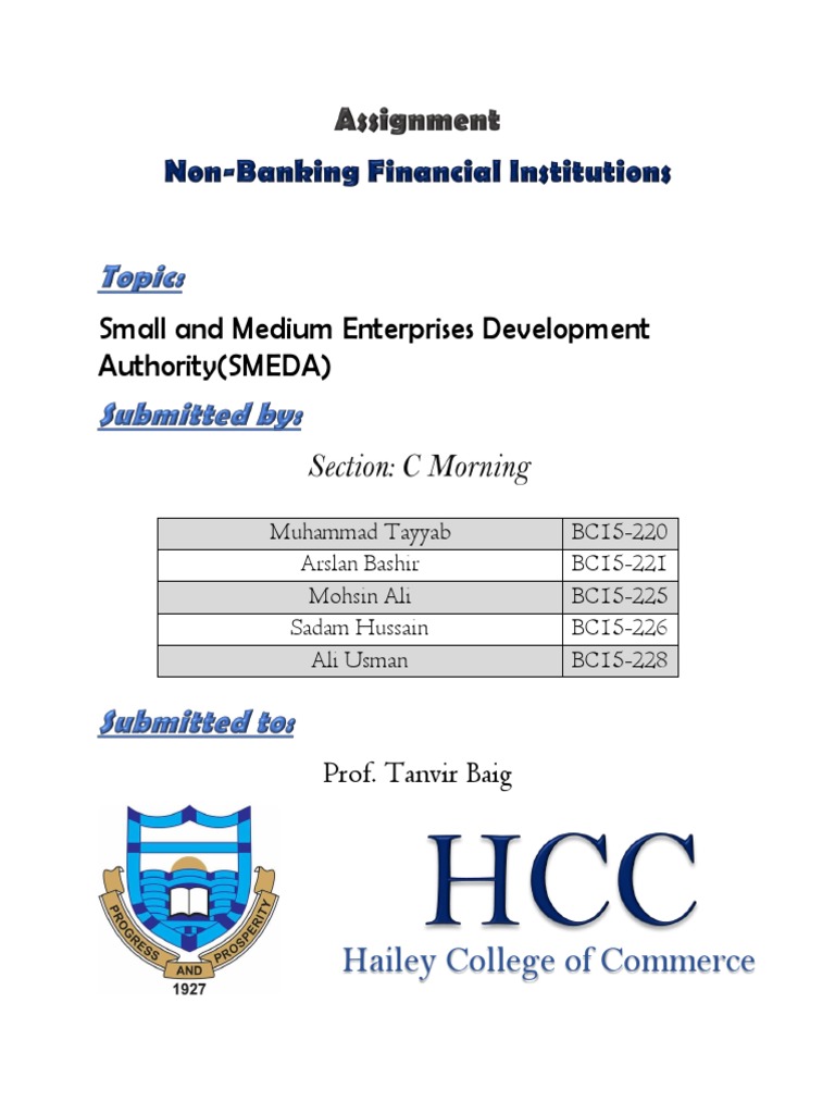 Small and Medium Enterprises Development Authority (SMEDA) : Hailey ...