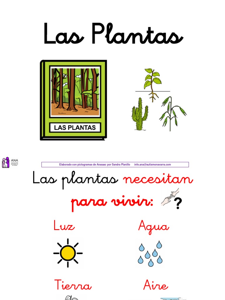 Las Plantas 1º Primaria | PDF | Plantas | Arboles