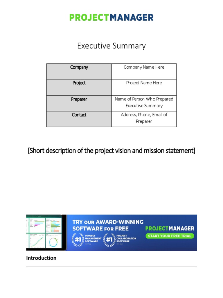 Executive Summary Template | PDF