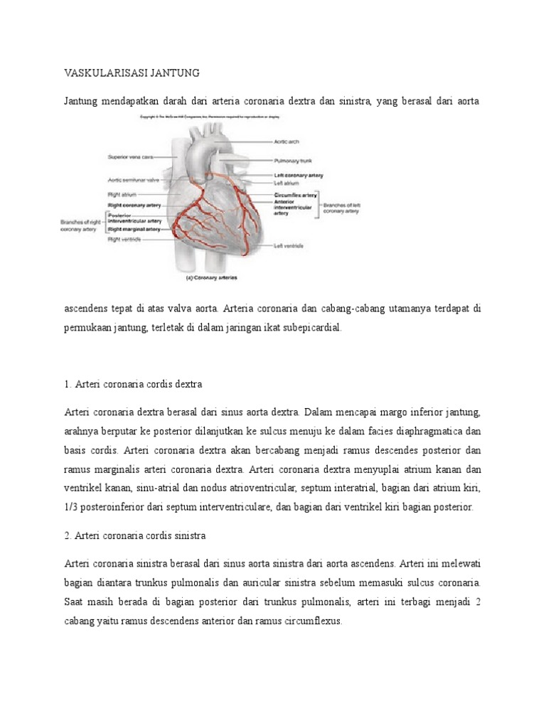 Vaskularisasi Jantung File | PDF
