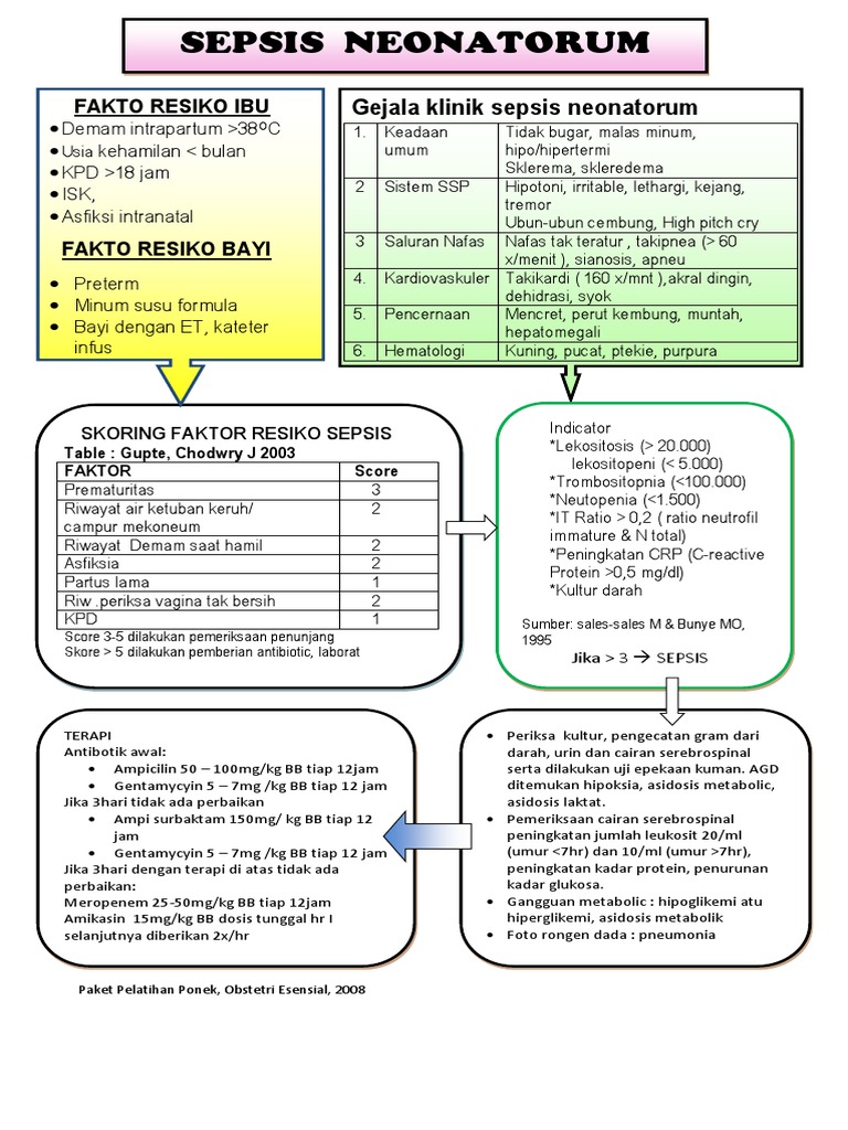 Algoritme Sepsis Bayi | PDF