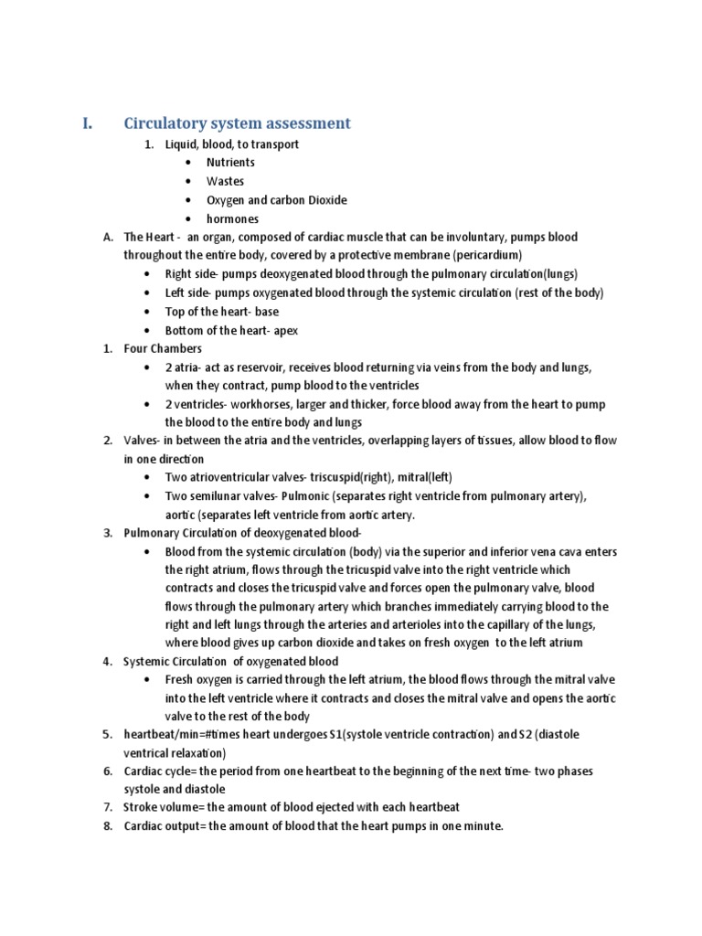 Circulatory System Assessment Guide | PDF | Heart | Atrium (Heart)