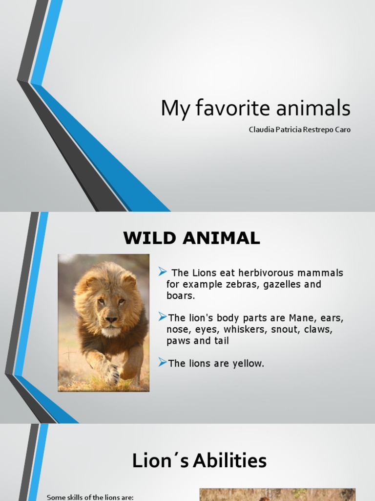 My Favorite Animals: Claudia Patricia Restrepo Caro | PDF