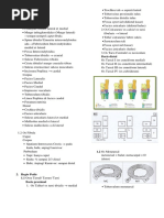 Crowe Classification of Hip Dysplasia | PDF | Hip | Musculoskeletal ...
