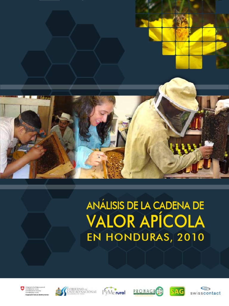 Analisis de La Cadena de Valor Apicola en Honduras 2010 PDF | PDF ...