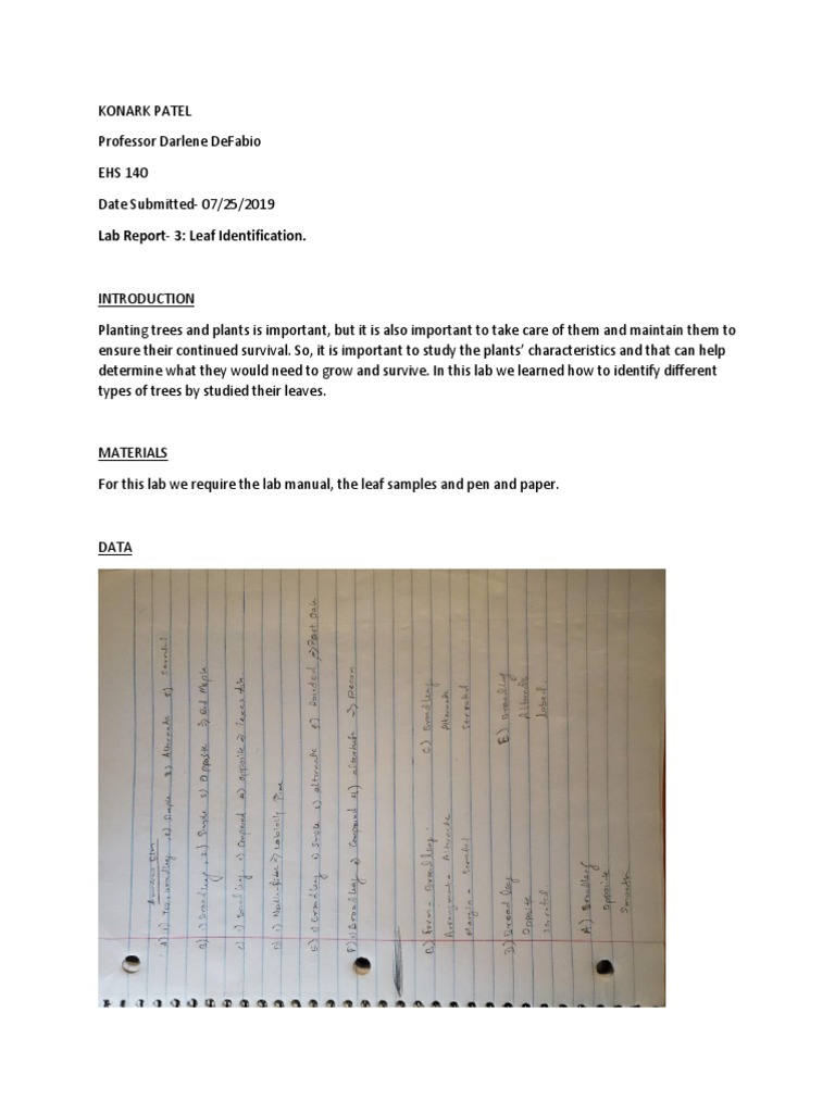 Leaf Identification and Functions Lab | PDF | Home & Garden | Wellness