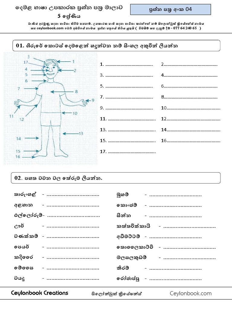 Grade 5 Tamil Paper 4 PDF | PDF