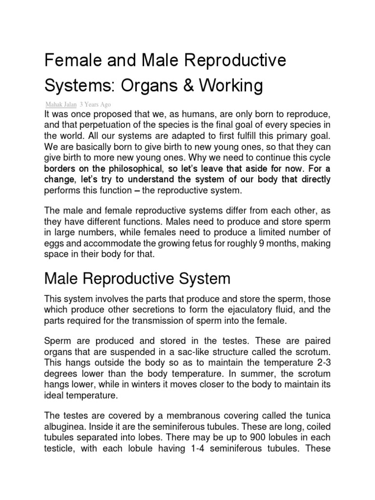 Female and Male Reproductive Systems | PDF | Reproductive System ...