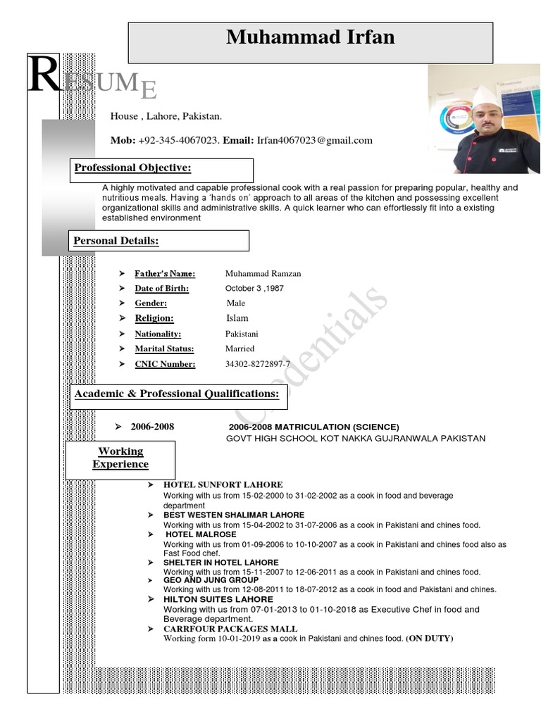 CV Irfan | PDF