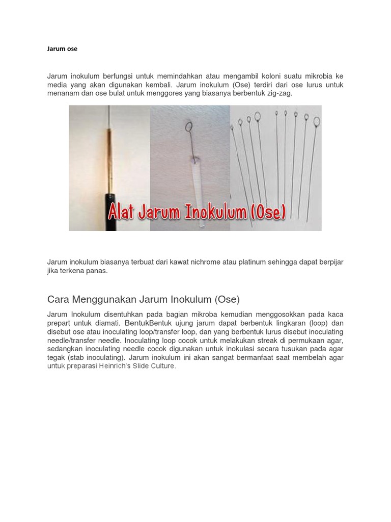 Jarum Ose | PDF