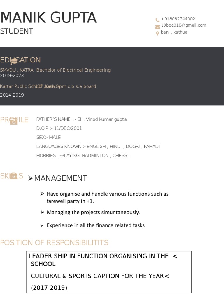 CV Manik | PDF