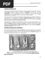 Anatomía de la Región Ciliar | PDF | Cabeza y cuello humanos | Anatomía
