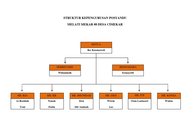 Struktur Kepengurusan Posyandu | PDF