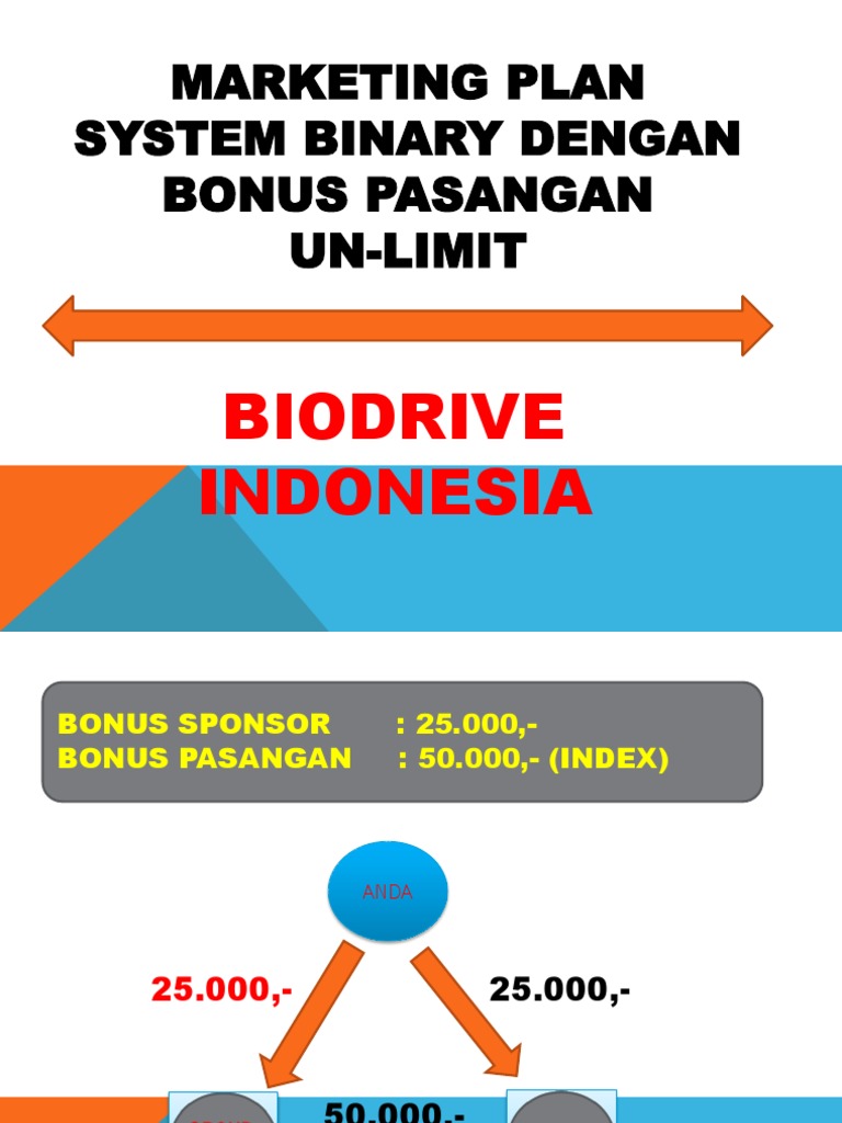 Marketing Plan Biodrive | PDF