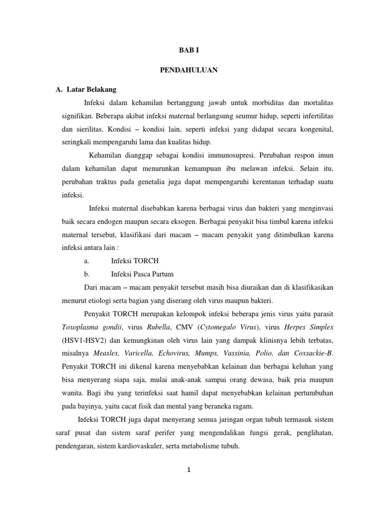 Makalah Tentang Infeksi Torch Dan Pasca Partum | PDF | Pengembangan ...