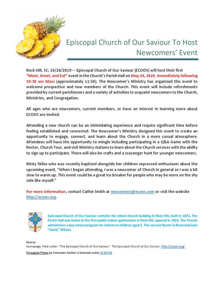 Professional Handout | PDF