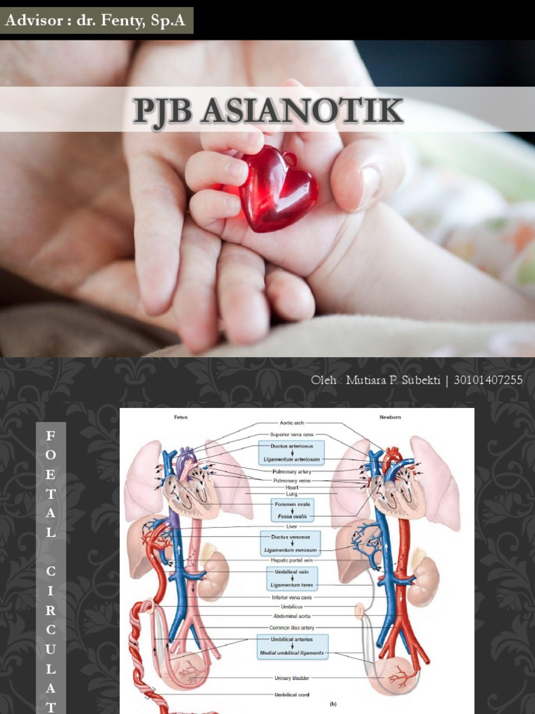 PJB Asianotik | PDF