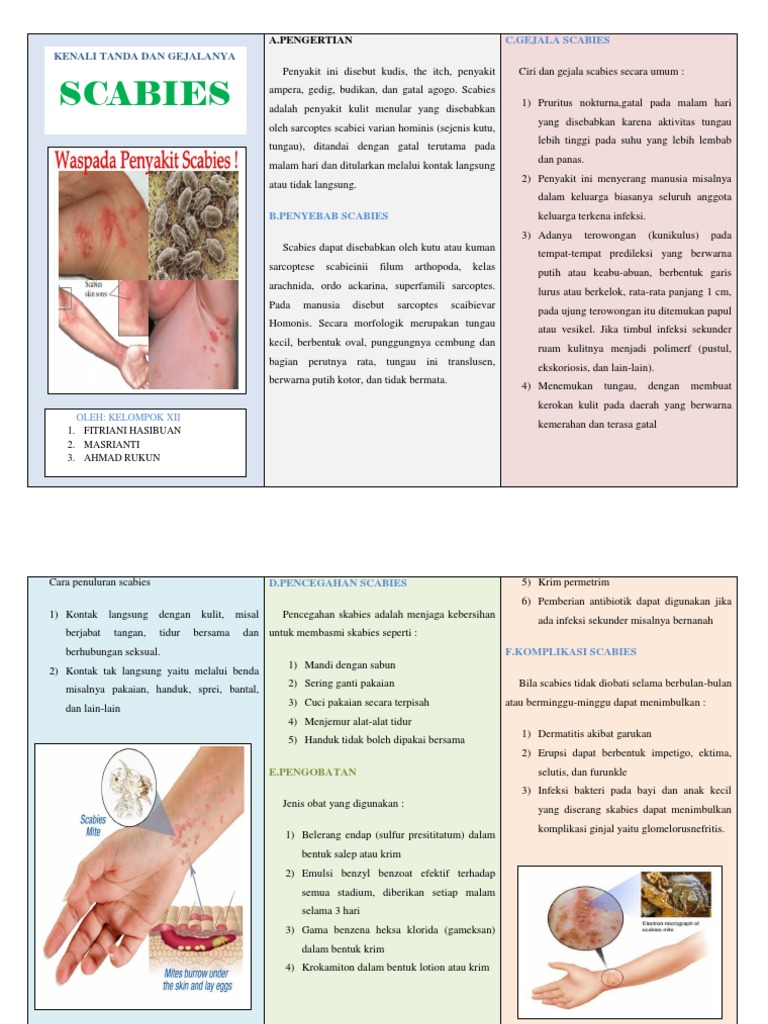 Gejala dan Pencegahan Skabies | PDF