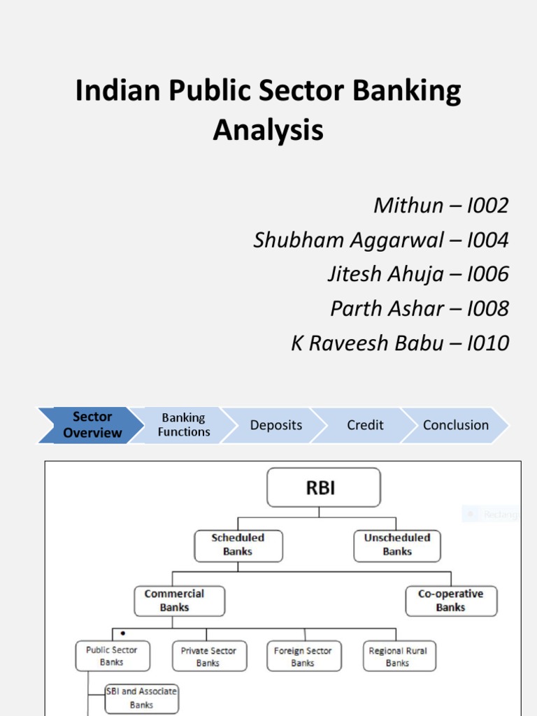 Indian Public Sector Banking Analysis | PDF