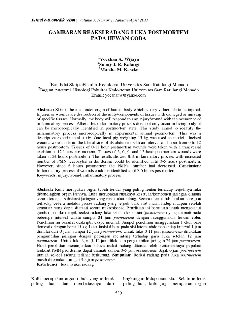 Inflammatory Process in Experimental Animal Postmortem Wounds | PDF ...